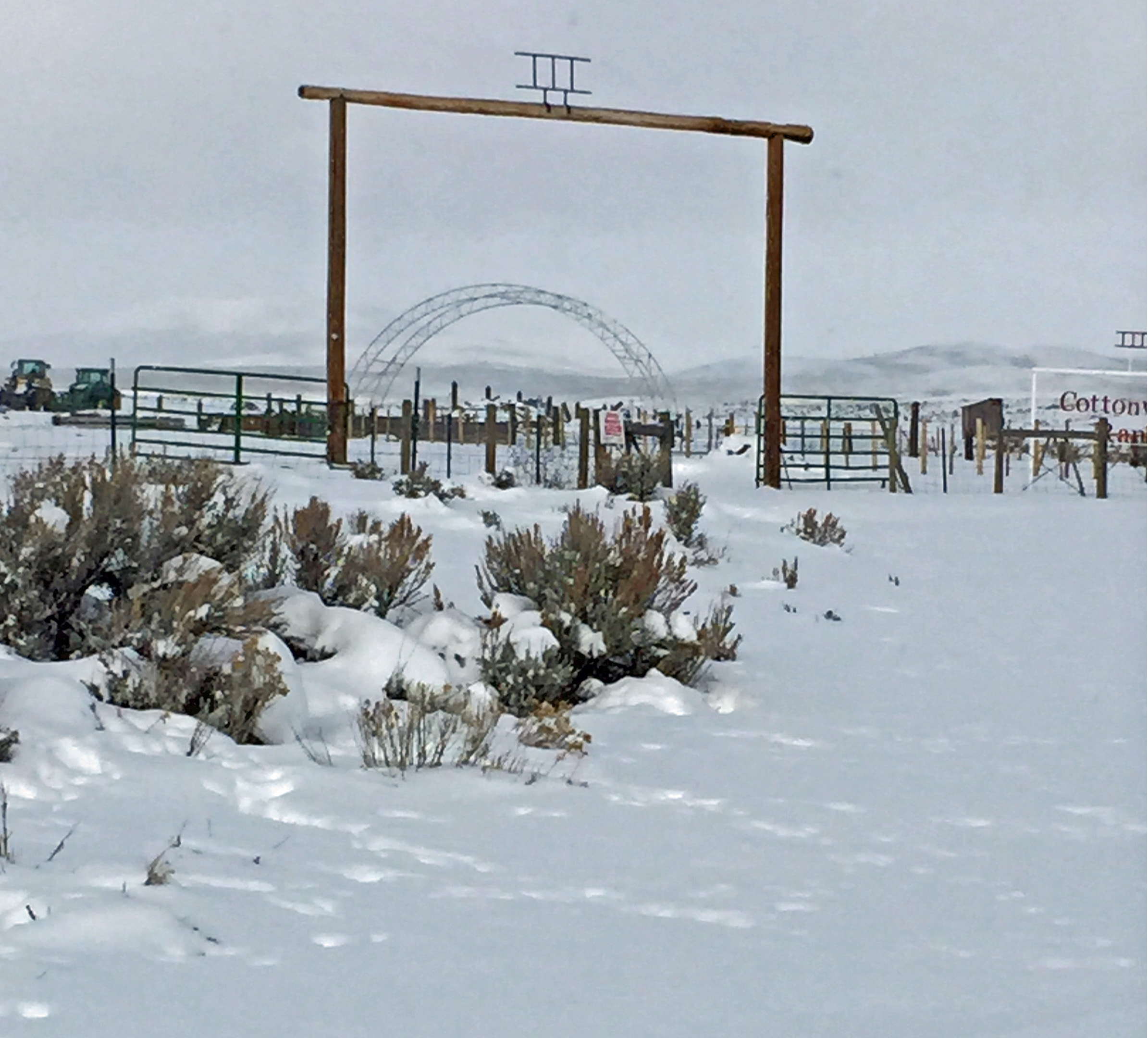 Merry Christmas from the Ladder Ranch! | Ladder Ranch
