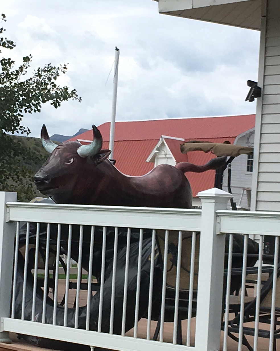 Take the bull by the horns | Ladder Ranch
