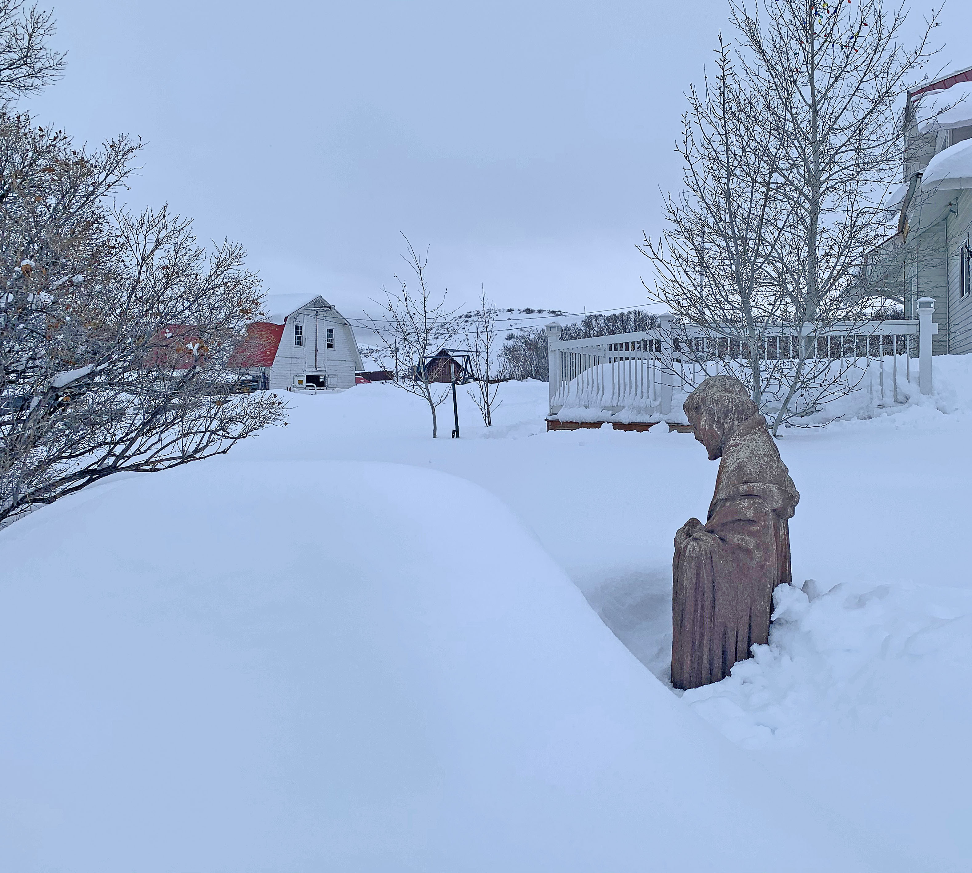 Saint Francis of Ladder Ranch | Ladder Ranch