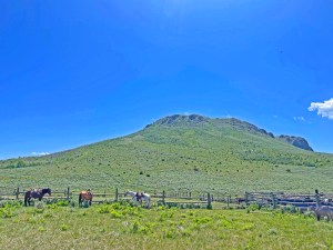 Summer Scenes and the Ladder Ranch crew | Ladder Ranch